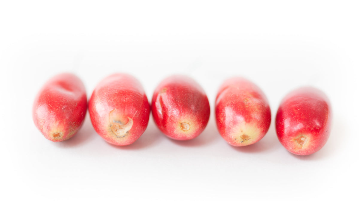 Miraculin & Sweet Proteins – mberry